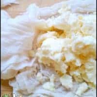 How to make feta cheese - Homestead Lady