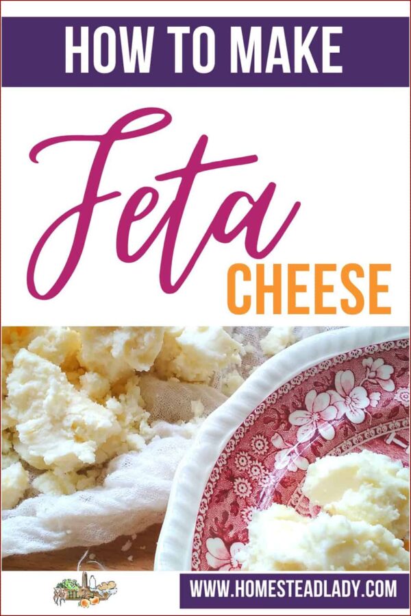 How to make feta cheese - Homestead Lady