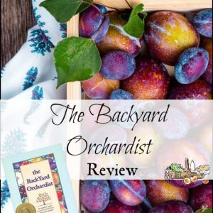 Book Review of Herbal Tea Gardens • Homestead Lady