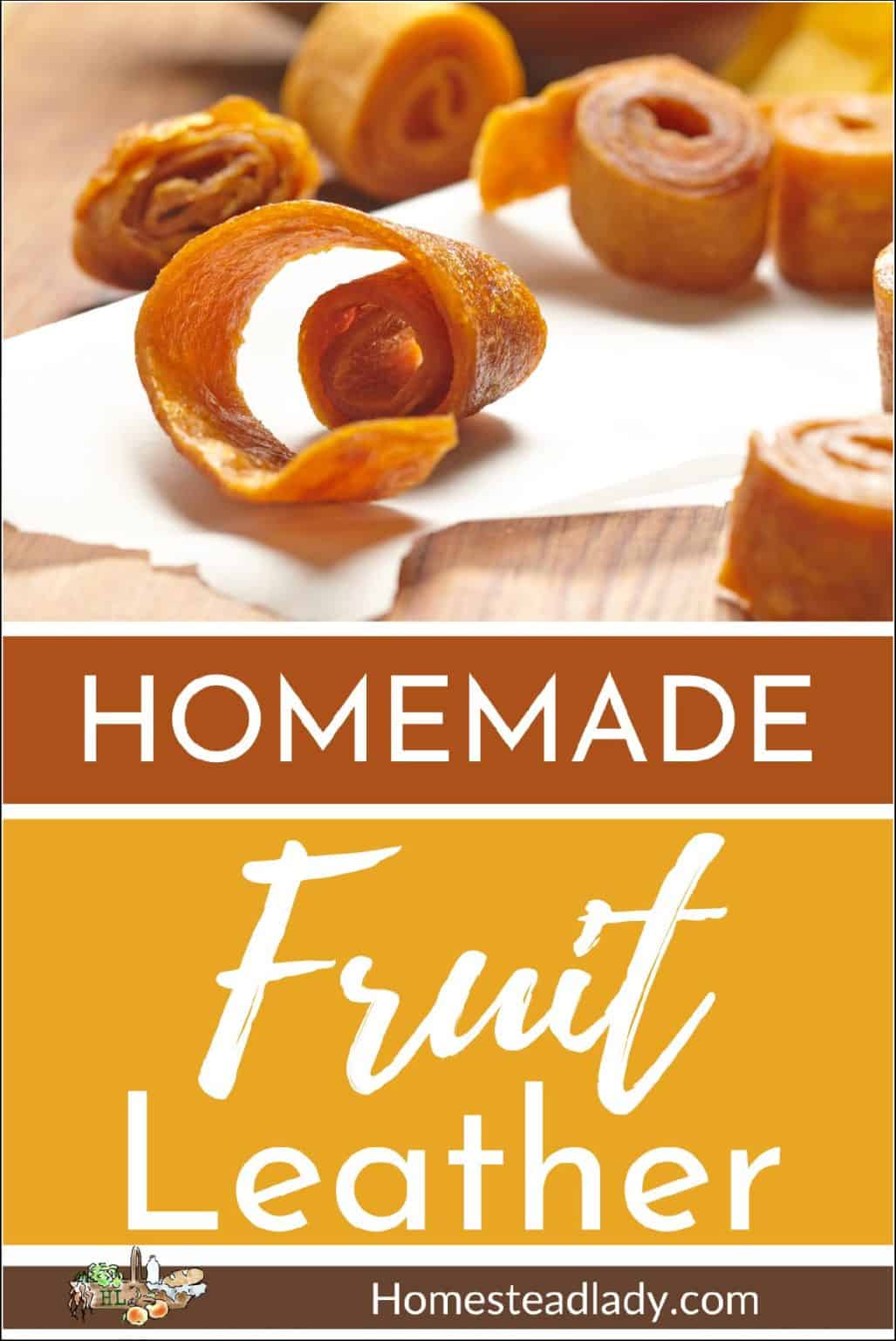 How to Make Homemade Fruit Leather • Homestead Lady