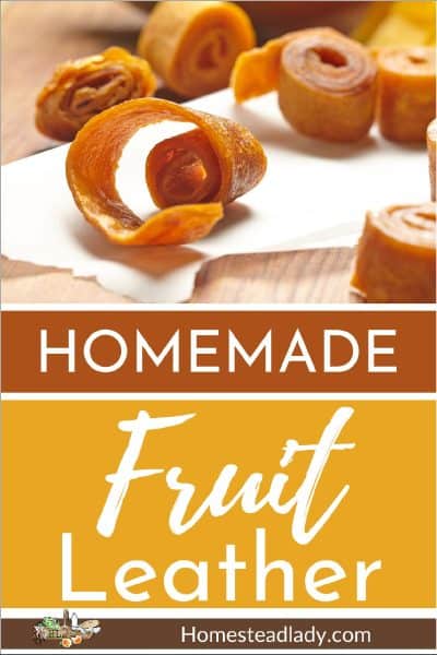 How to Make Homemade Fruit Leather • Homestead Lady