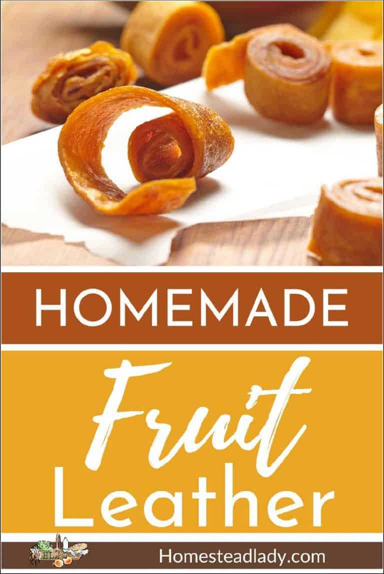 How to Make Homemade Fruit Leather • Homestead Lady