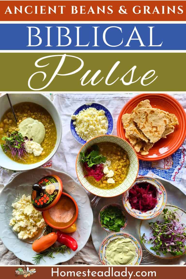 Daniel's Gut Health - A Recipe for Pulse • Homestead Lady