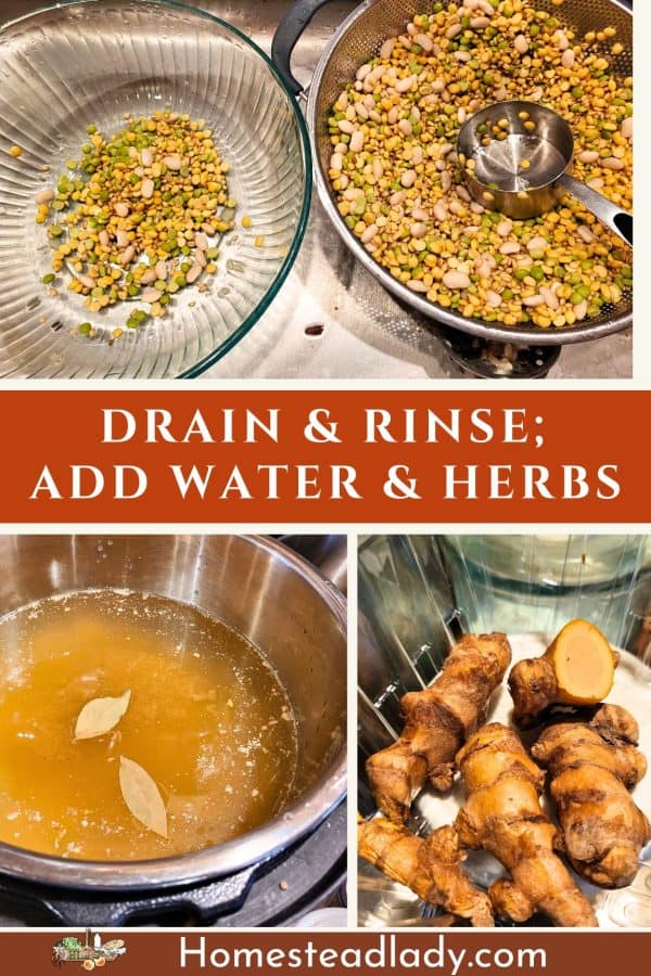 Daniel's Gut Health - A Recipe for Pulse • Homestead Lady