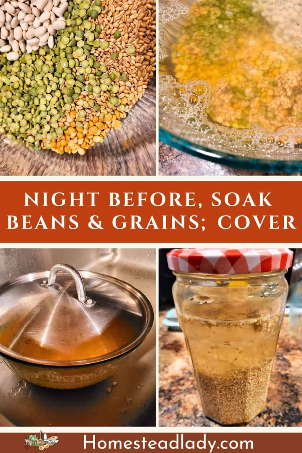 Daniel's Gut Health - A Recipe for Pulse • Homestead Lady