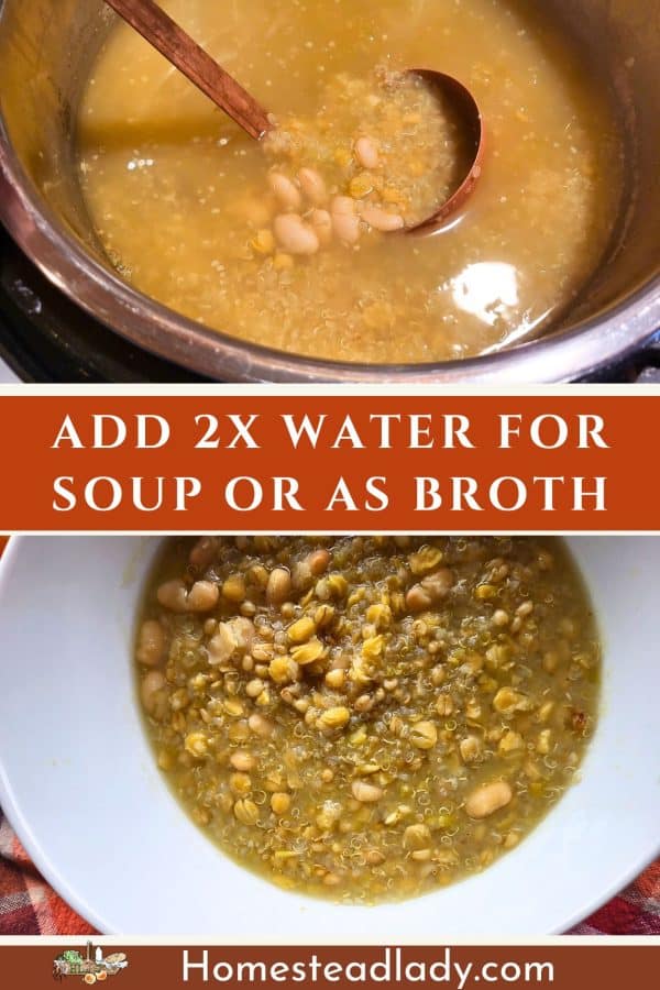 Daniel's Gut Health - A Recipe for Pulse • Homestead Lady