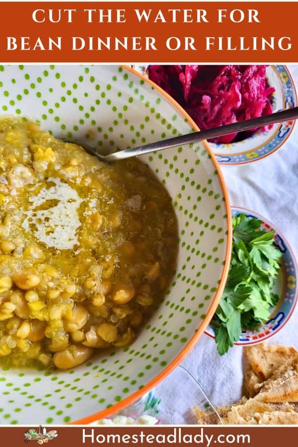 Daniel's Gut Health - A Recipe for Pulse • Homestead Lady