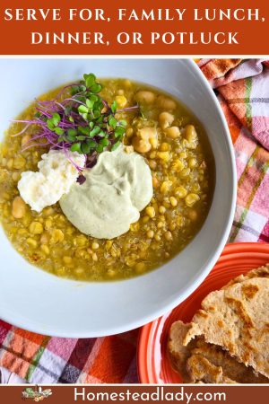 Daniel's Gut Health - A Recipe for Pulse • Homestead Lady