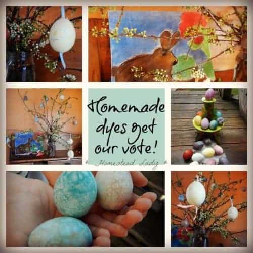 Natural Dyes for Easter - Homemade & Commercial • Homestead Lady