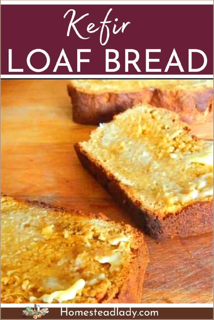 Kefir Fermented Bread Dough - No Yeast! • Homestead Lady