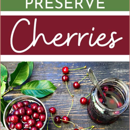 Canning Recipe: Dark Cherry Mulberry Jam • Homestead Lady