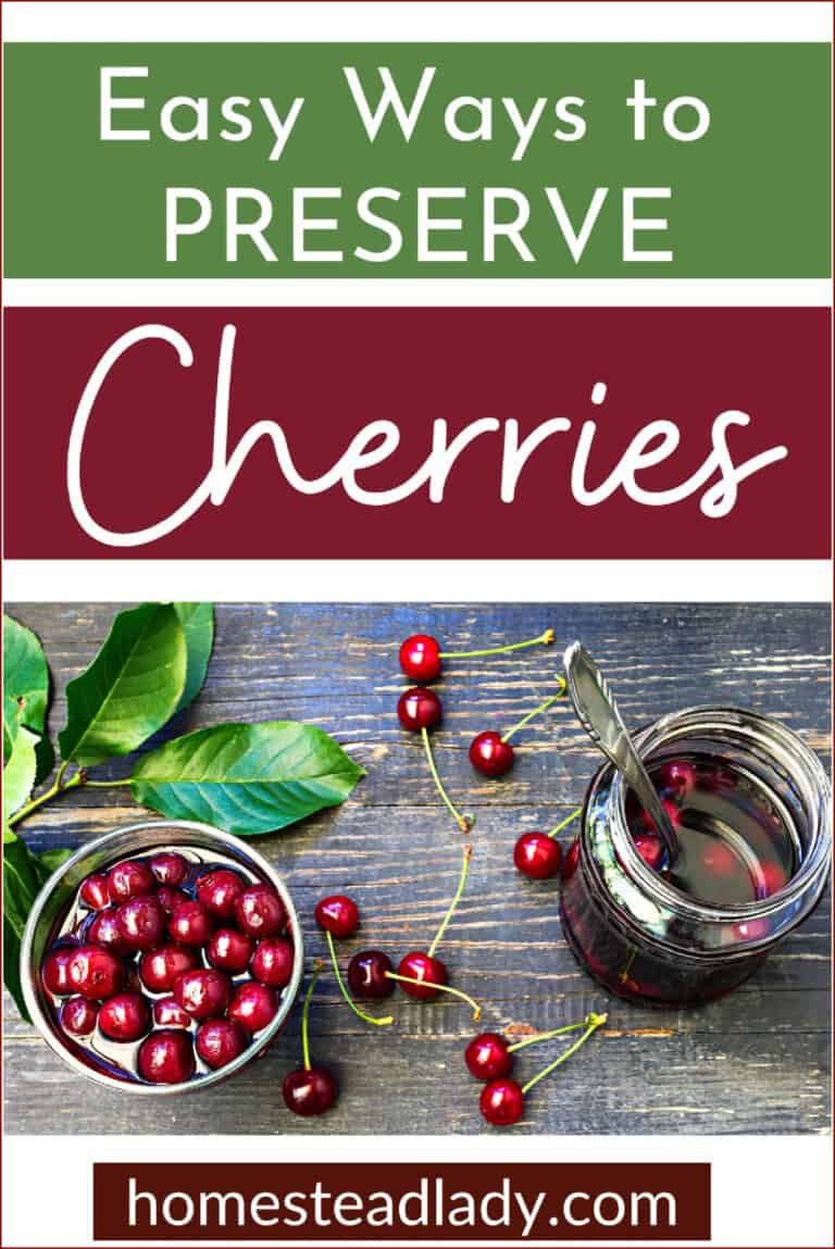 Ways to Preserve Cherries - Homestead Lady