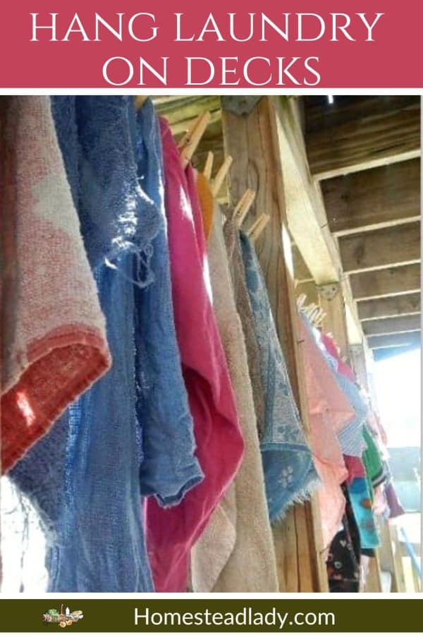 Little House and Line Drying - Homestead Lady