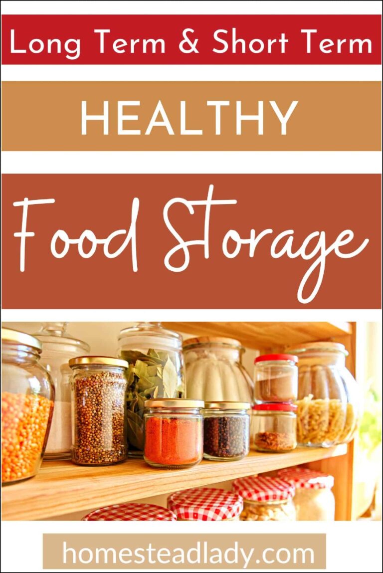 Healthy Food Storage - Long & Short Term • Homestead Lady