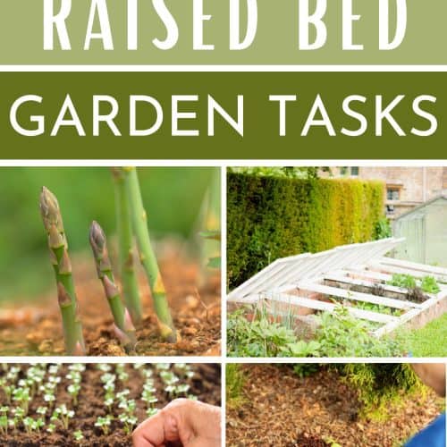 Raised Bed Garden 101 - Learn to Grow in Raised Beds • Homestead Lady