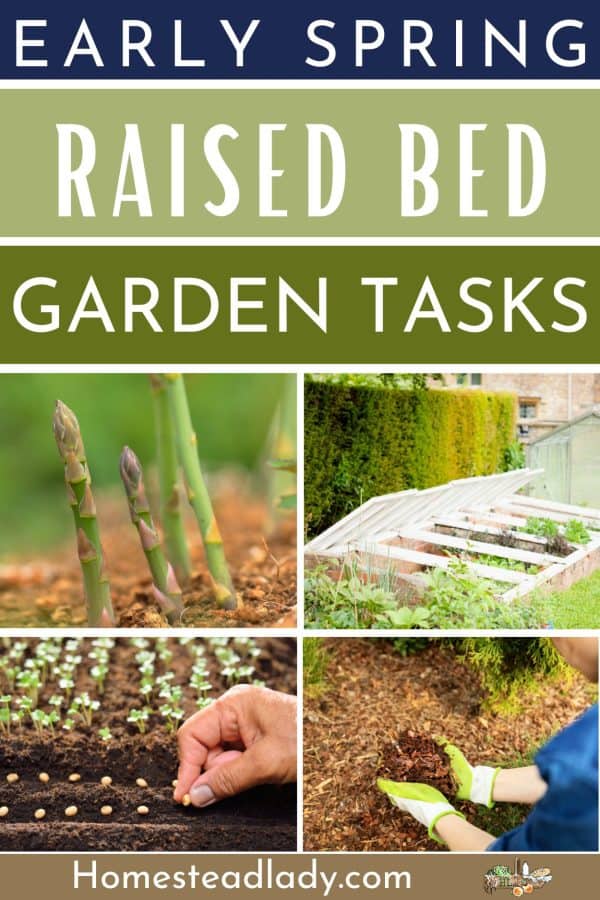 Raised Garden Beds: What to do for Early Spring? • Homestead Lady