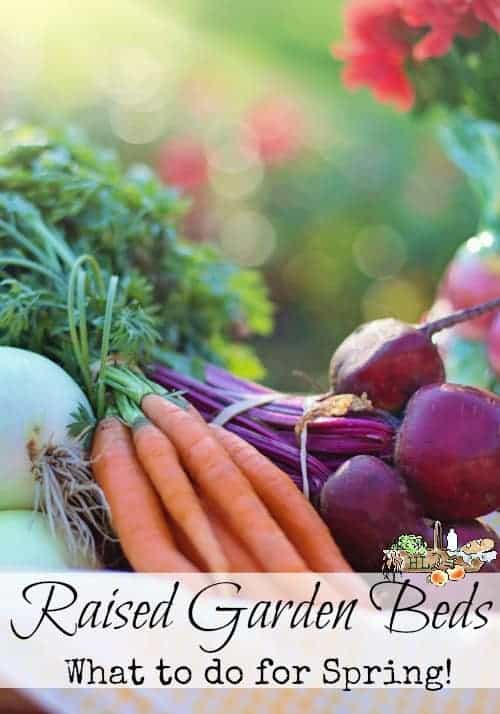 Raised Garden Beds: What to do for Early Spring? • Homestead Lady