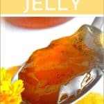 Forsythia Dandelion Jelly Recipe • Homestead Lady