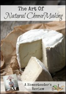 How to make feta cheese - Homestead Lady