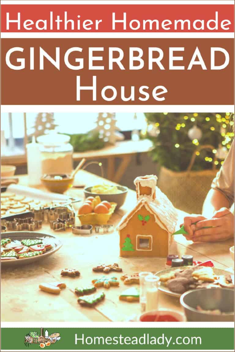 Homemade Healthy Gingerbread House 2 Ways • Homestead Lady