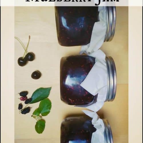 Ways to Preserve Cherries - Homestead Lady