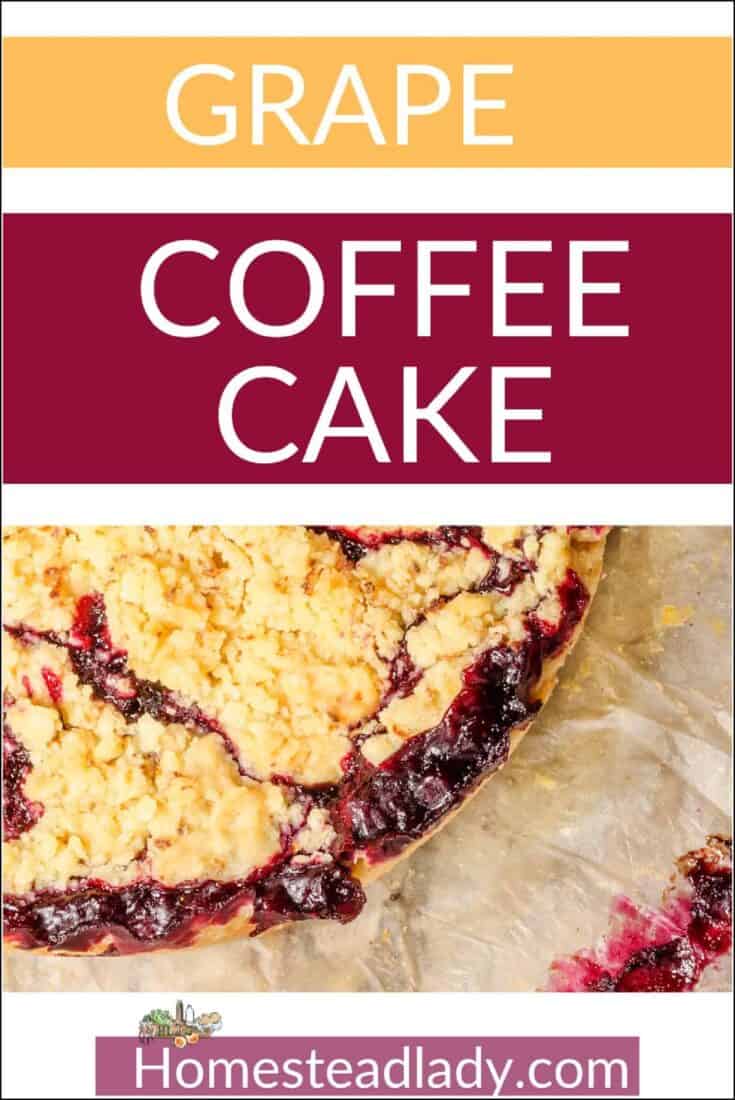 Grape Coffee Cake with Crumble Topping • Homestead Lady