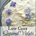 Off Season Food Preservation • Homestead Lady