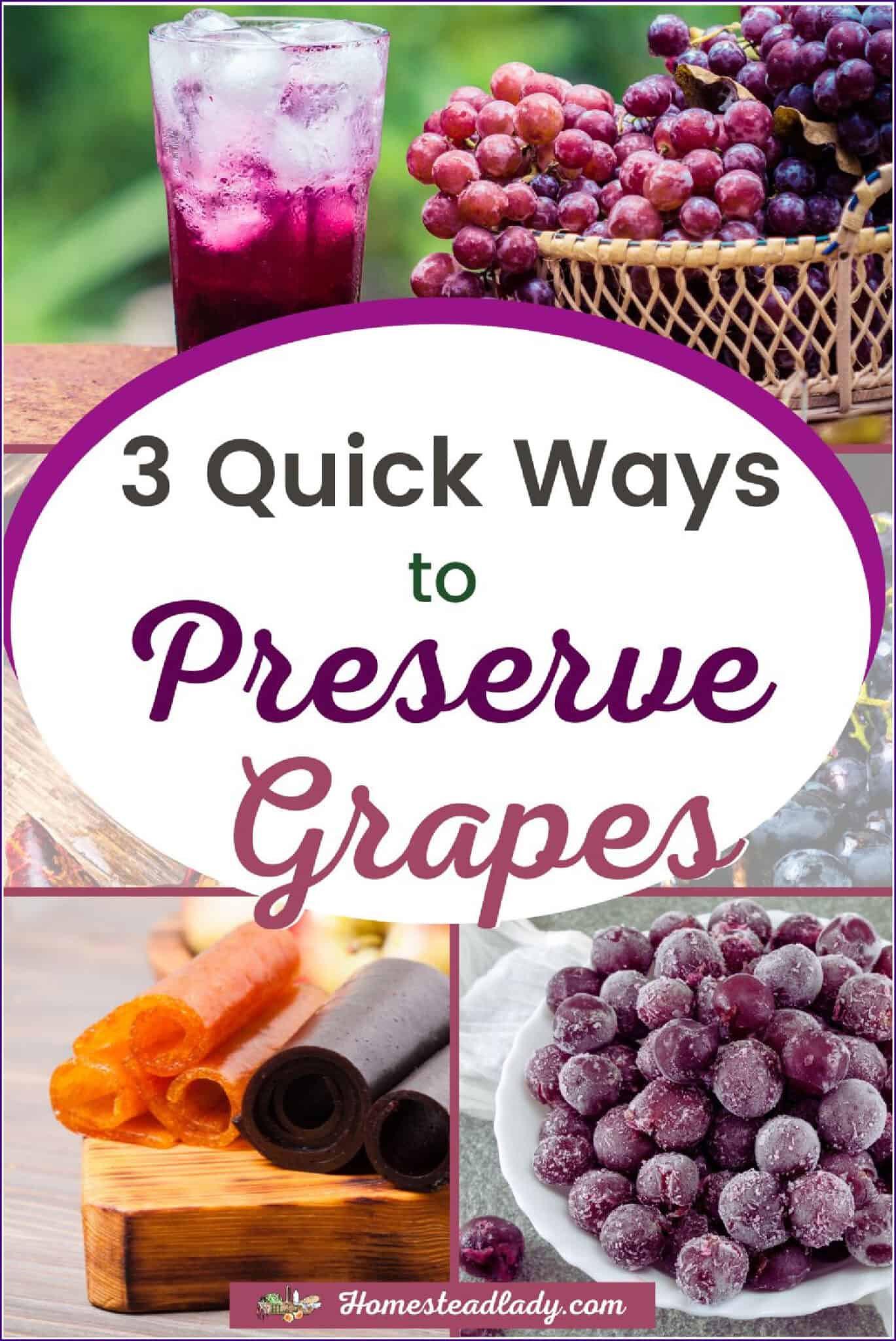 3 Quick Ways to Preserve Grapes • Homestead Lady