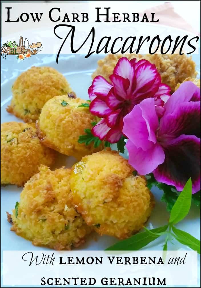 Lemon Verbena Low Carb Macaroons • Homestead Lady