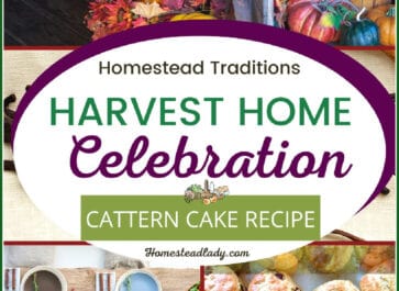 Homestead Lady • Building our self-sufficient lifestyle one level at a ...