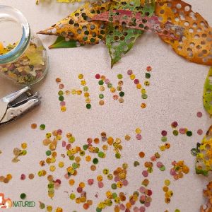Make Homemade Biodegradable Confetti • Homestead Lady