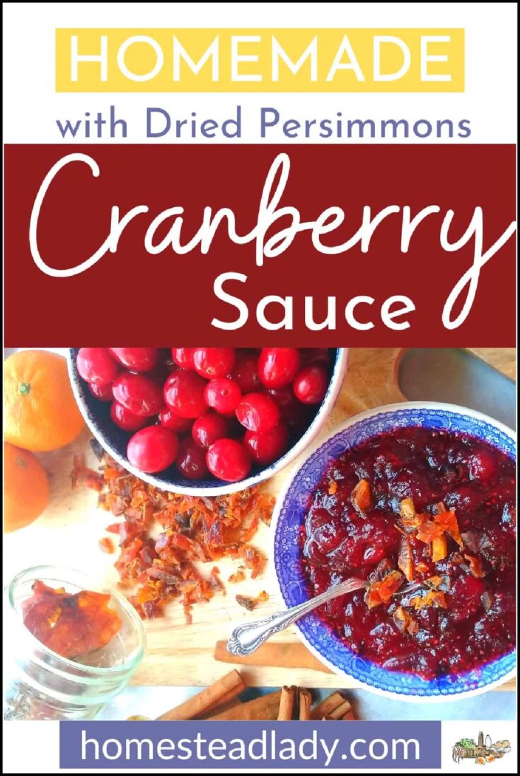 Fresh Cranberry & Dried Persimmon Sauce • Homestead Lady