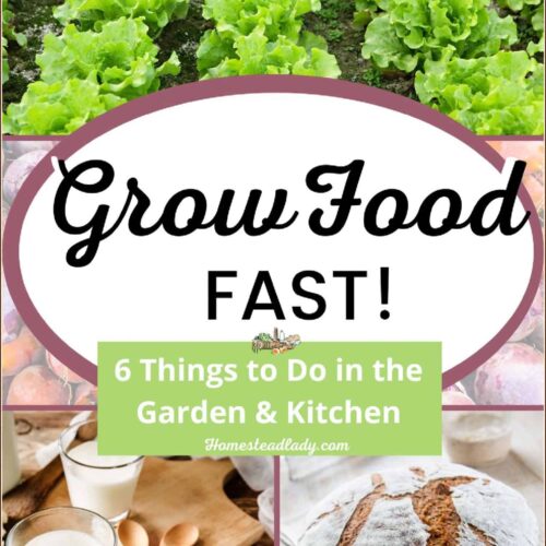 Grow Your Own Food • Homestead Lady