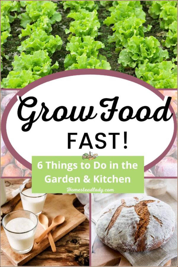 Grow Food Fast - Kitchen & Garden • Homestead Lady