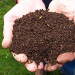 DIY Compost Tea Bucket • Homestead Lady