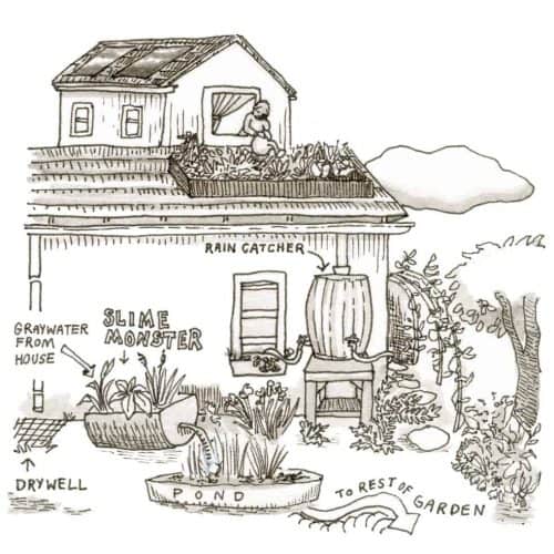 10+Methods for Conserving Water on the Homestead • Homestead Lady