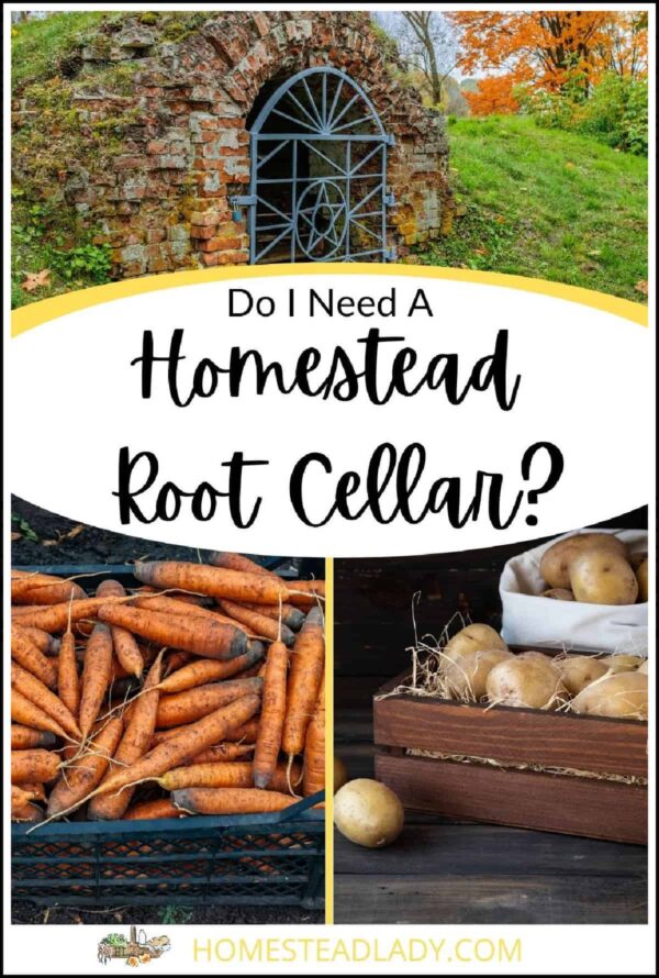 Do I Need a Homestead Root Cellar? • Homestead Lady