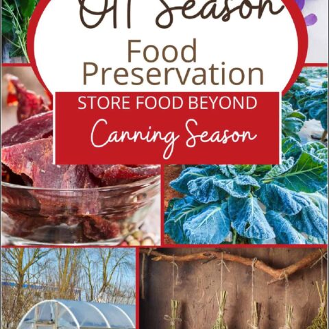 8 Ways to Preserve Food from the Garden • Homestead Lady
