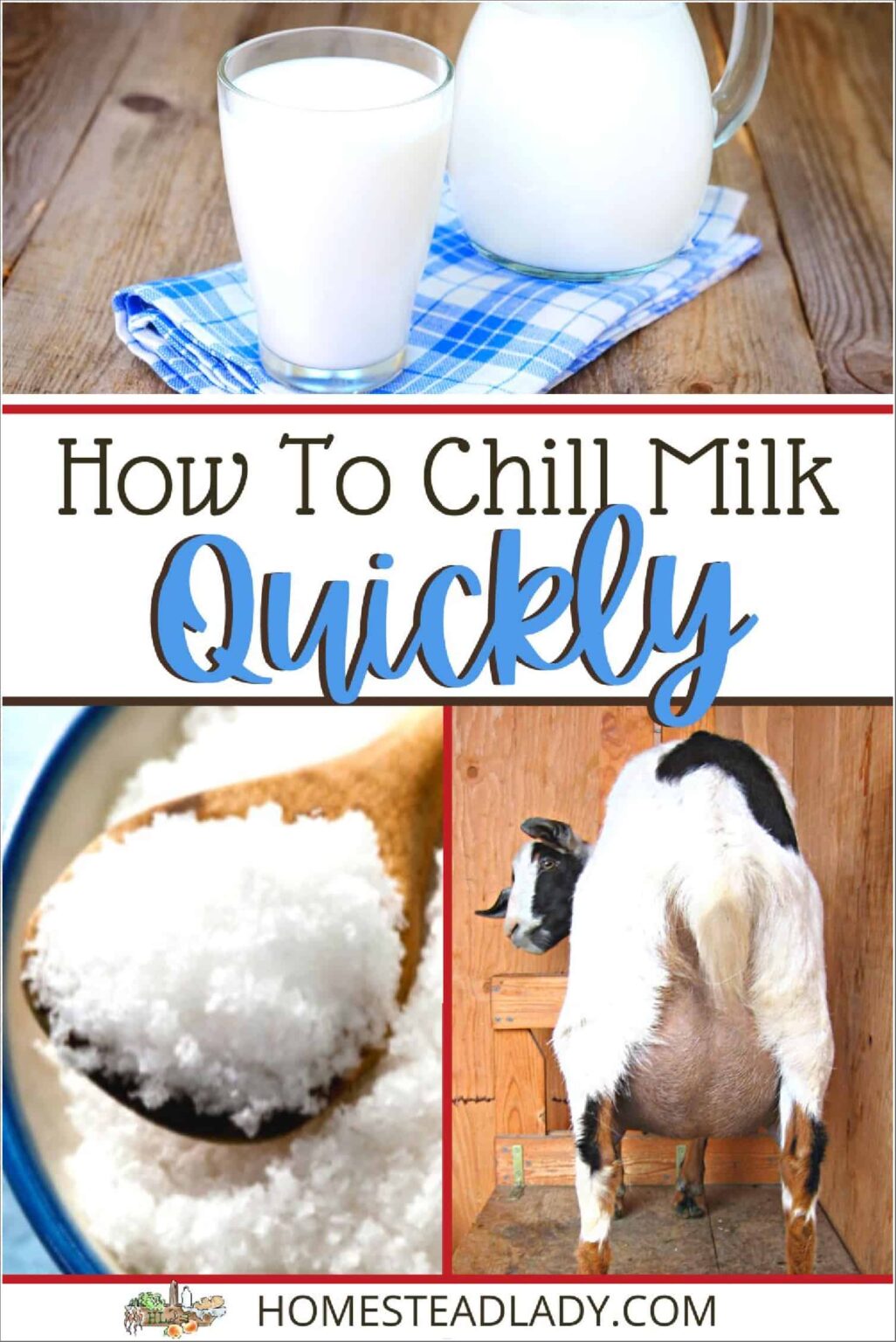 Home Dairy: How to Cool Milk Quickly • Homestead Lady