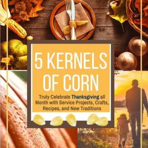 About Us • Homestead Lady