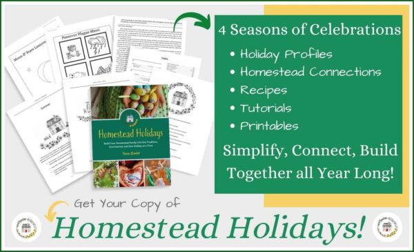 Homestead Holidays • Homestead Lady