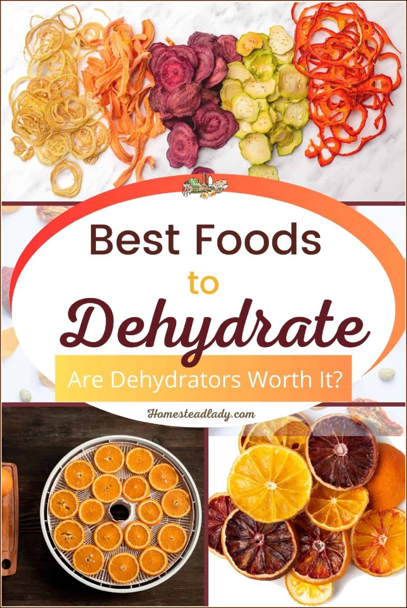 Best Foods to Dehydrate • Homestead Lady