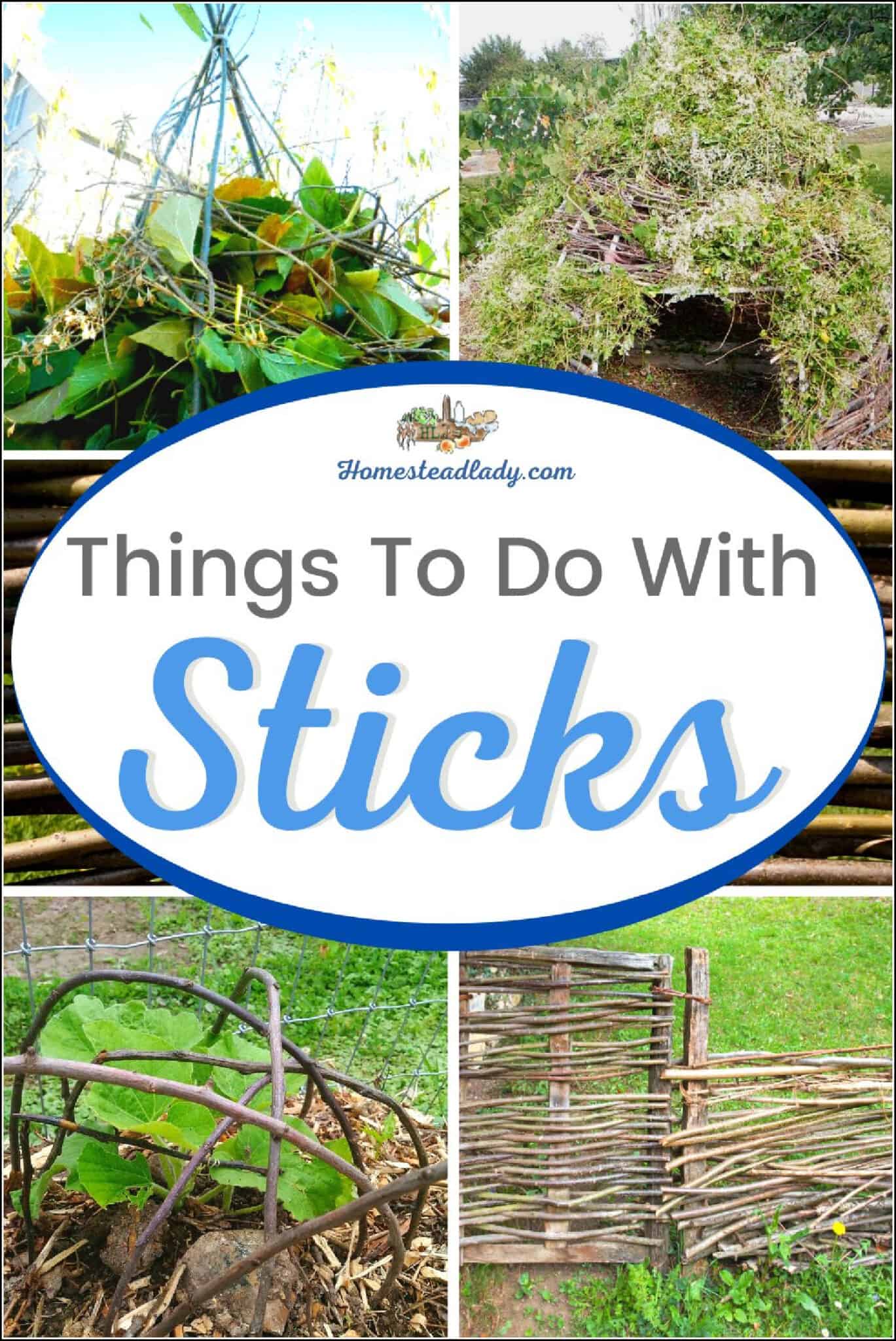 What to Do With Sticks in the Yard • Homestead Lady
