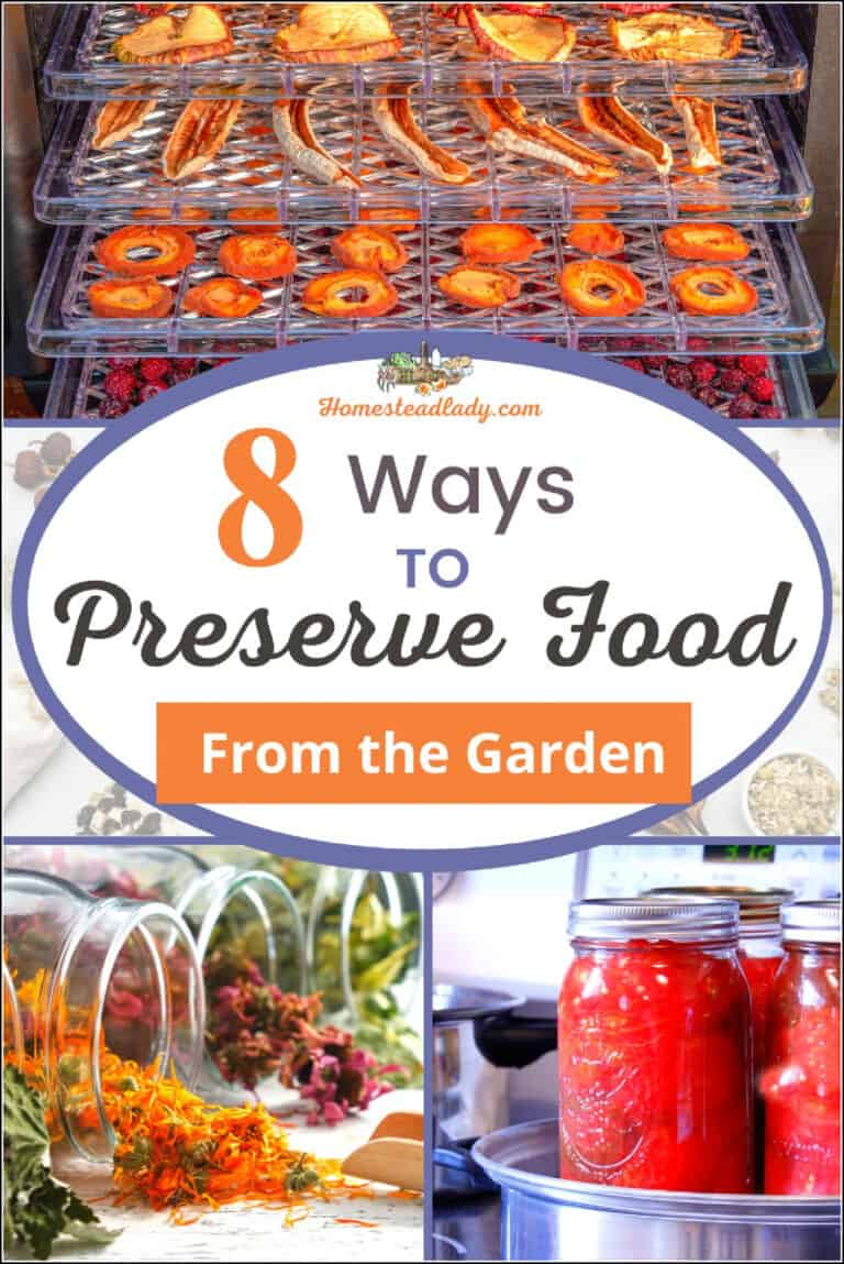 8 Ways to Preserve Food from the Garden • Homestead Lady