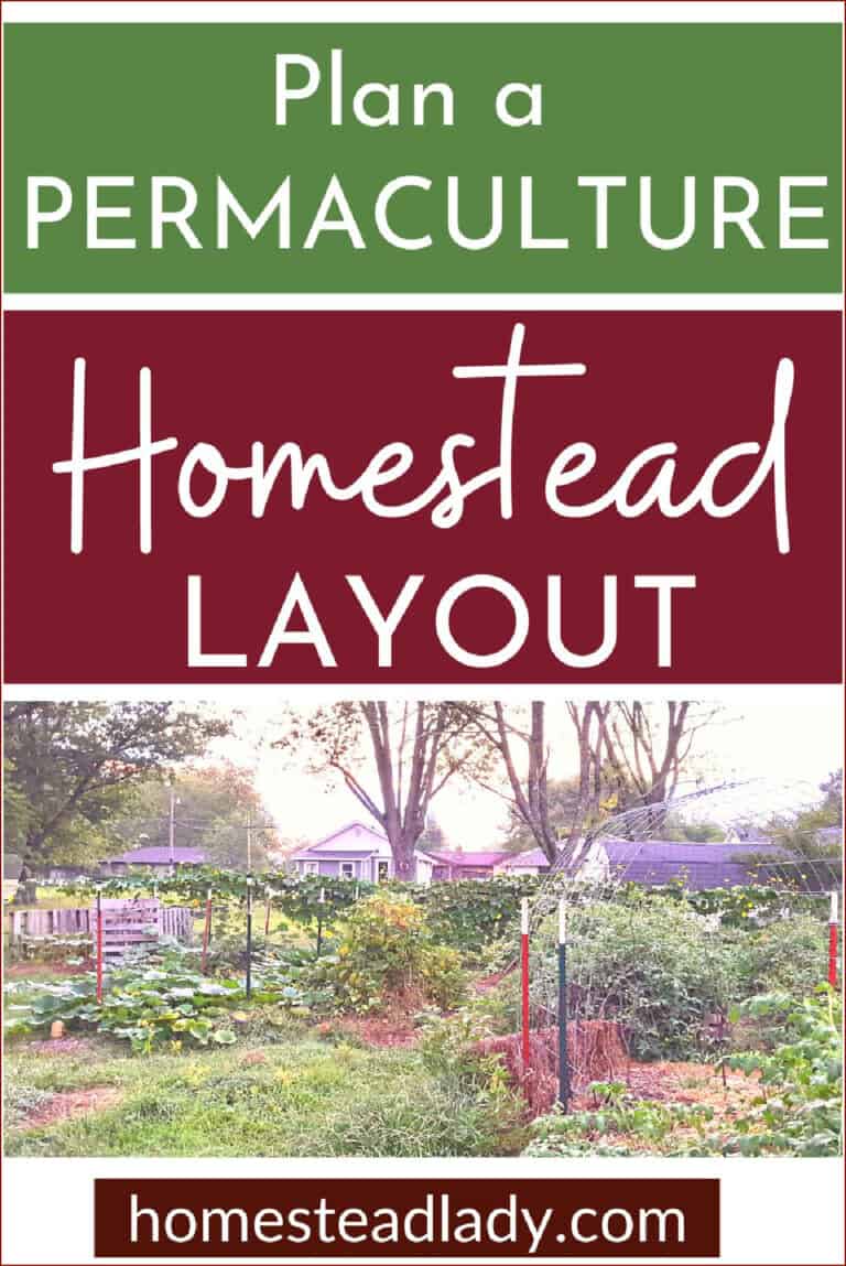 Plan a Permaculture Homestead Layout • Homestead Lady