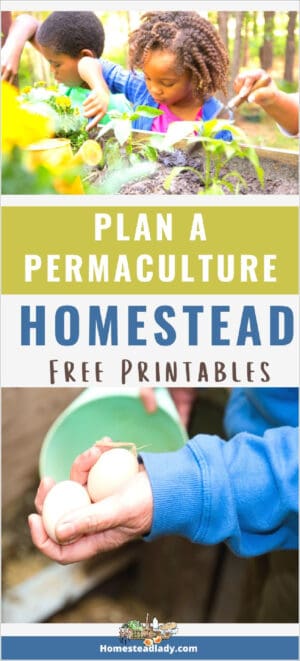 Plan a Permaculture Homestead Layout • Homestead Lady