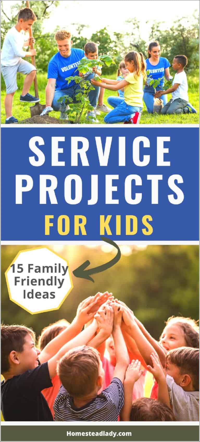 15 Service Project Ideas for Kids • Homestead Lady