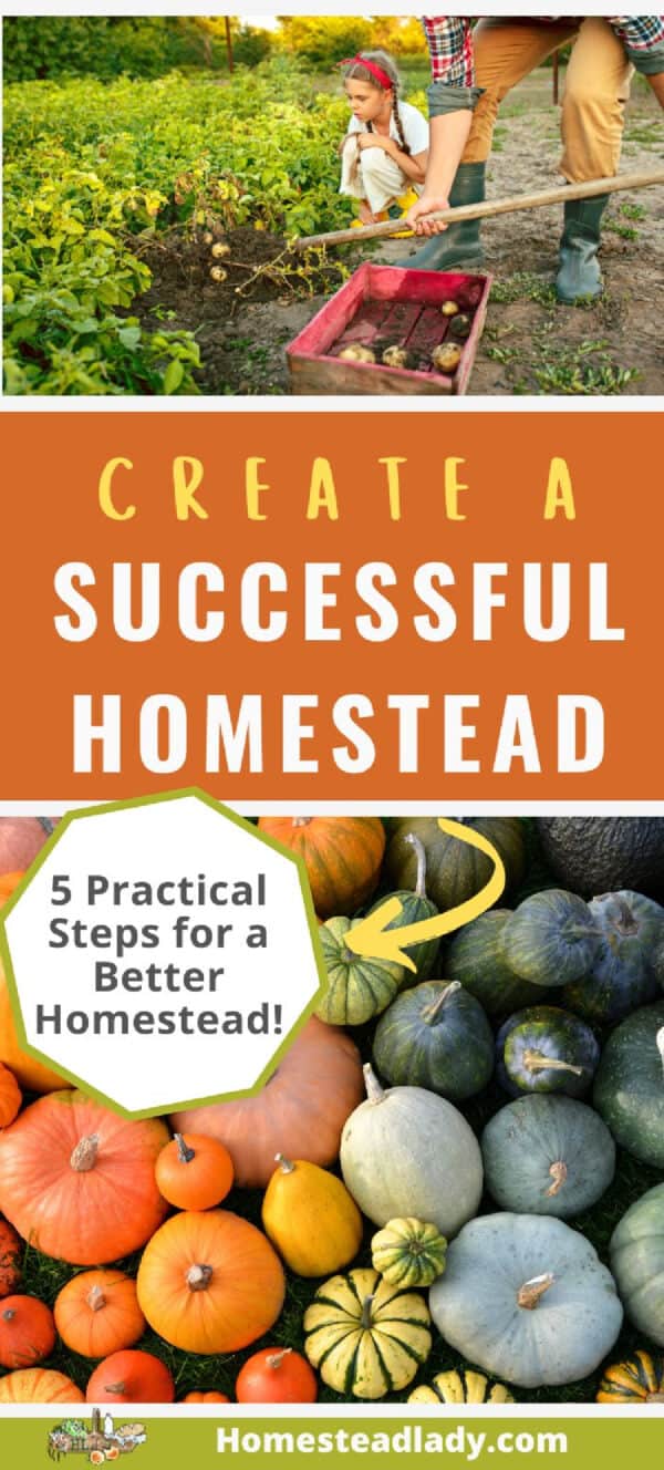 How to Make a Successful Homestead • Homestead Lady