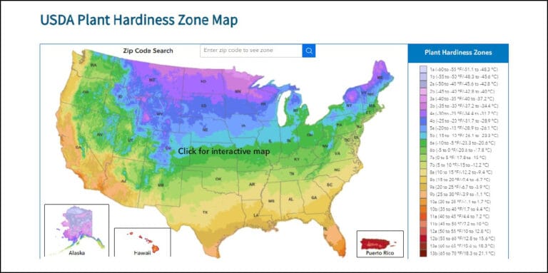 Planting Zones: Understanding Climate and Microclimates • Homestead Lady