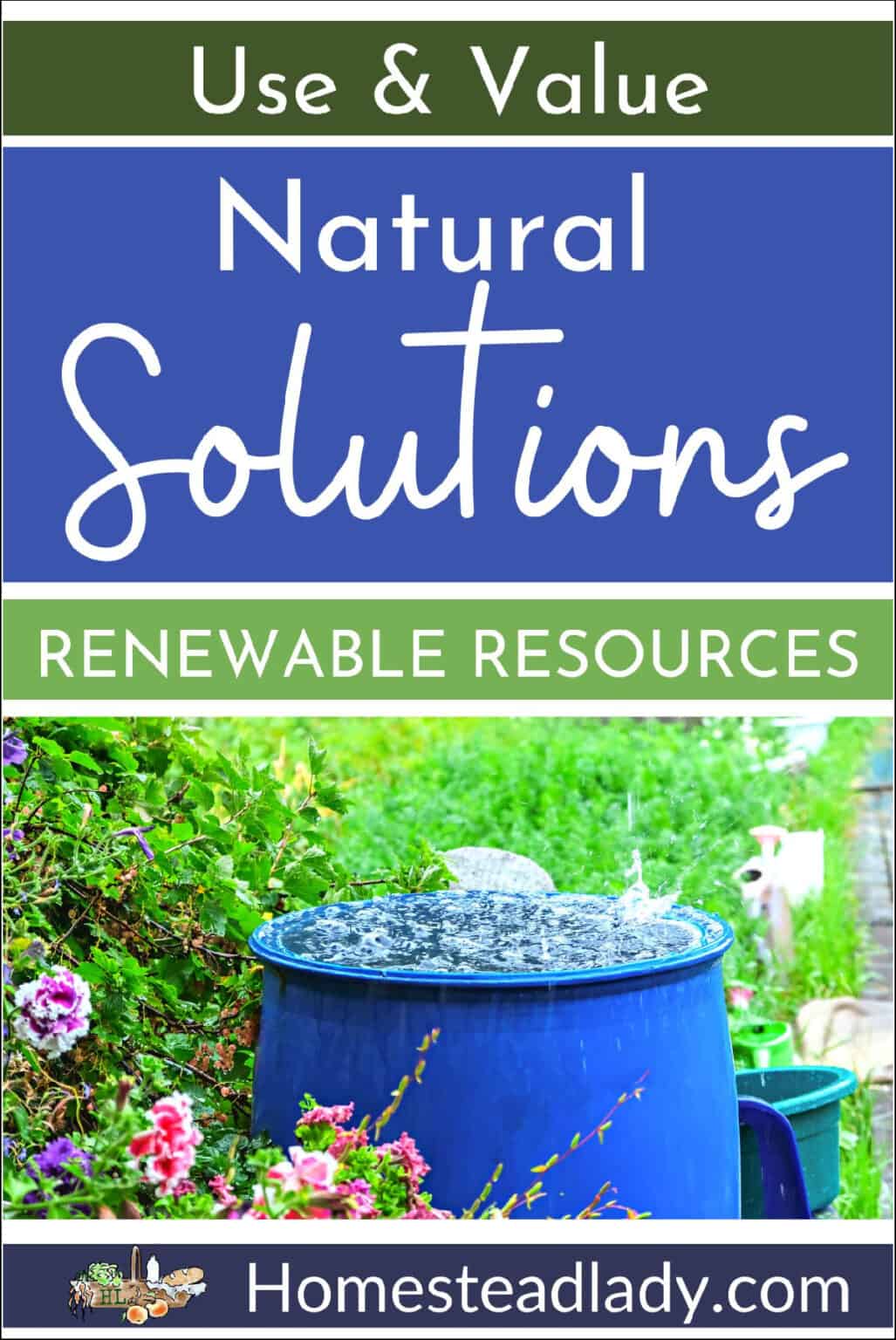 Renewable Resources: Solutions for Homestead Problems (5th Permaculture ...